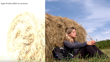 EVA1 | Products | Cinema Camera Global | Panasonic