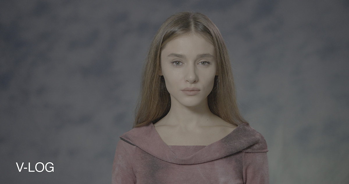 VARICAM LUT LIBRARY | Support | Cinema Camera Global | Panasonic