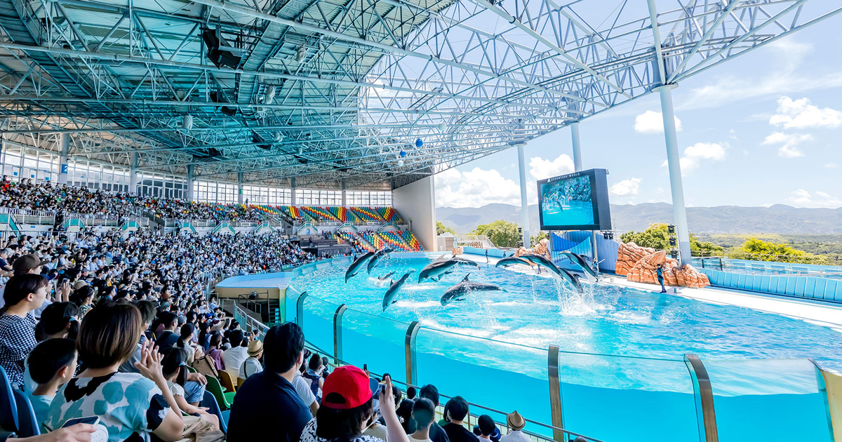 Outdoor-ready PTZ Cameras Users’ Voice Adventure World, operated by AWS ...